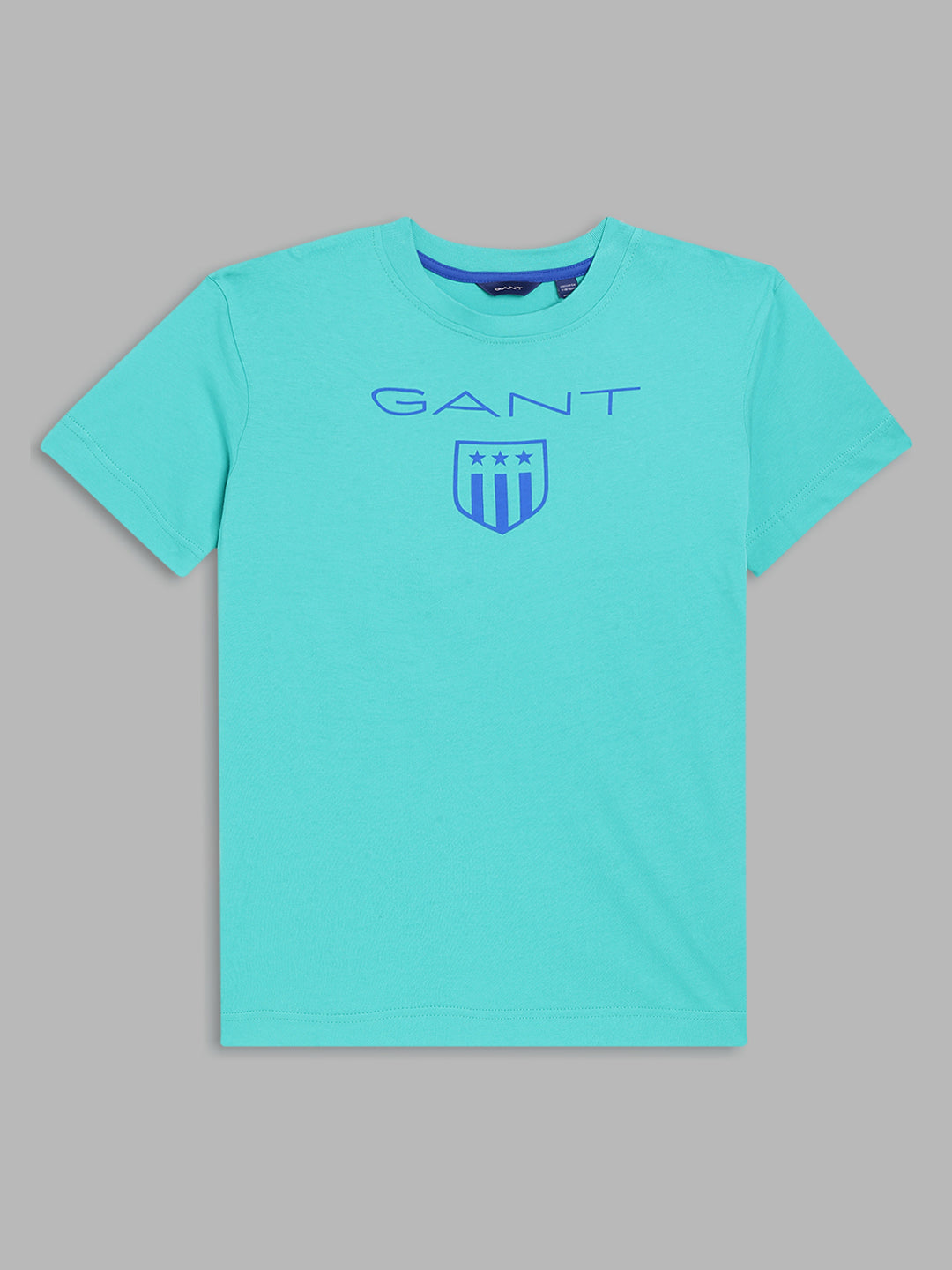 Shop Gant Kids Green Logo Oversized Fit T-Shirt Online – Iconic India