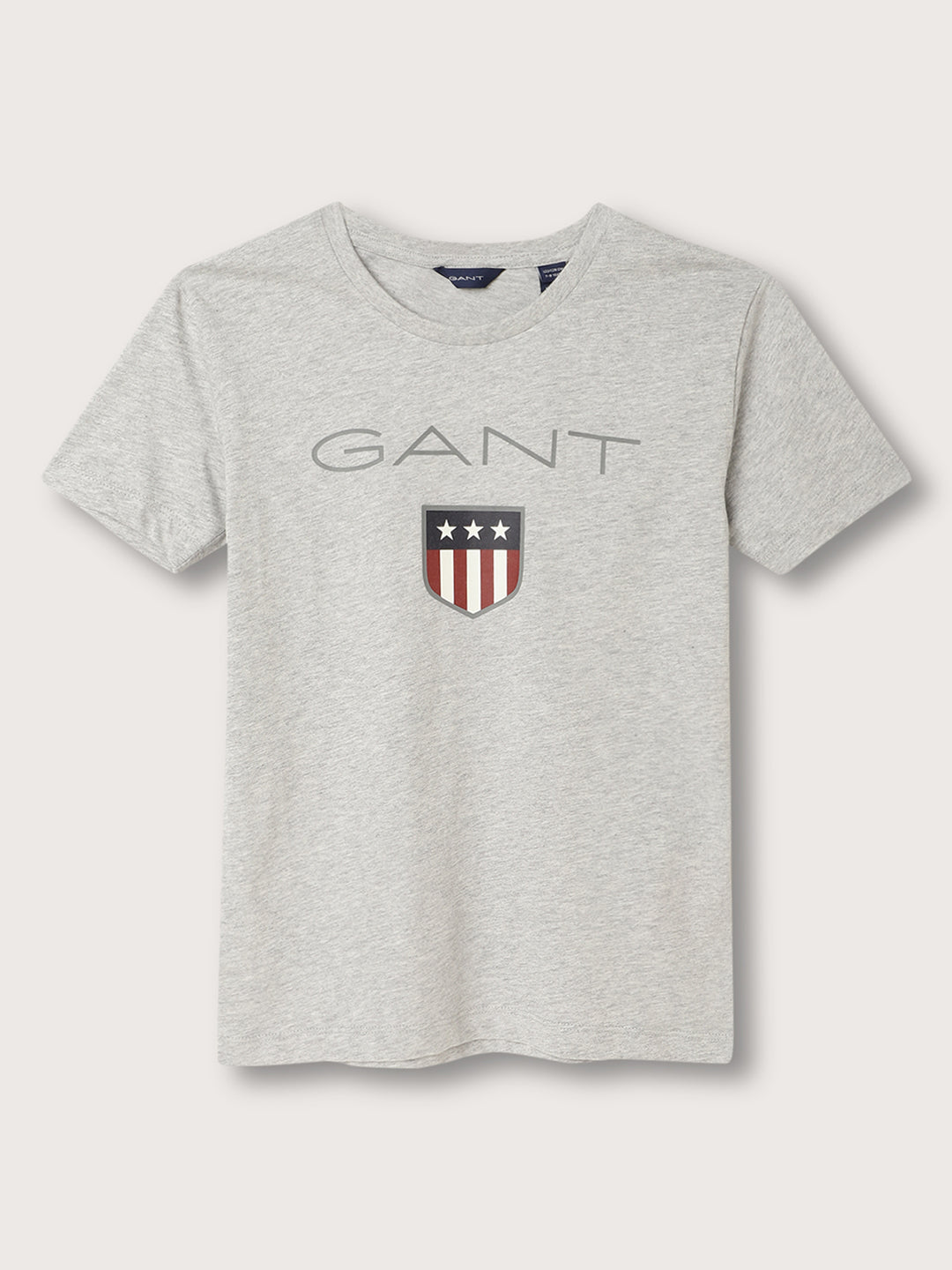 Shop Gant Kids Grey Logo Regular Fit T-Shirt Online – Iconic India